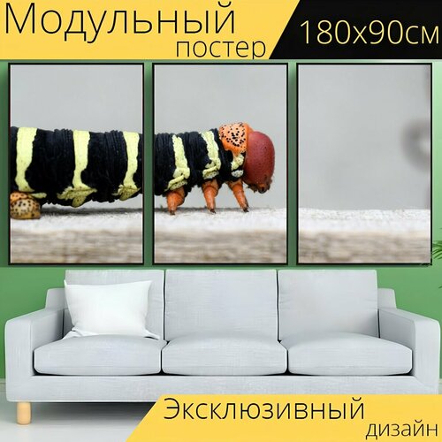 Модульный постер "Гусеница, насекомое, животное" 180 x 90 см. для интерьера