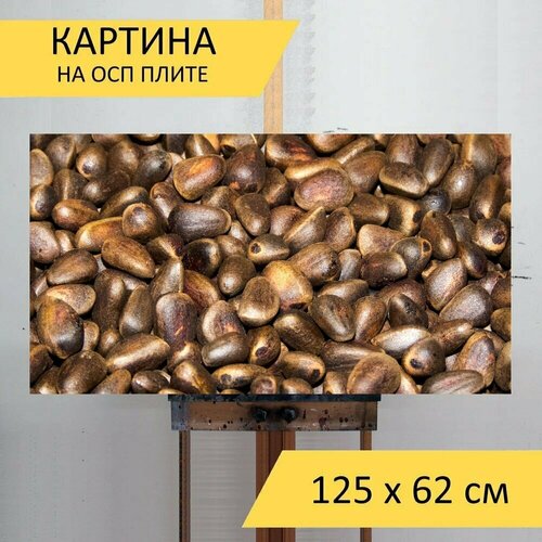 Картина на ОСП 125х62 см. "Орехи кедровые, каленые, питание" горизонтальная, для интерьера, с креплениями
