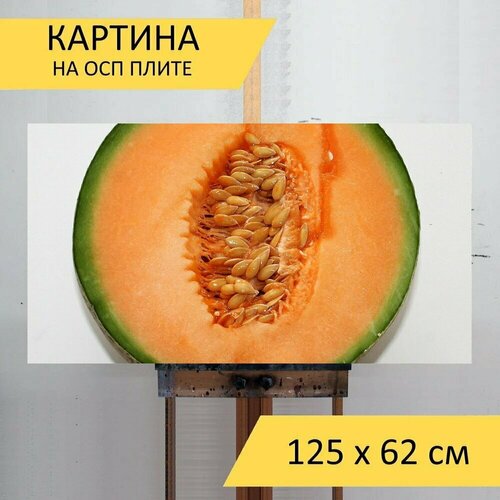 Картина на ОСП 125х62 см. "Дыня, еда, фрукты" горизонтальная, для интерьера, с креплениями