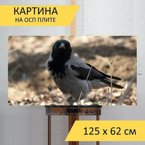 Картина на ОСП 125х62 см. "Ворона, птица, черный" горизонтальная, для интерьера, с креплениями