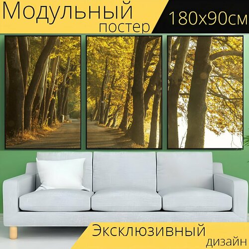 Модульный постер "Деревья, дорога, пейзаж" 180 x 90 см. для интерьера