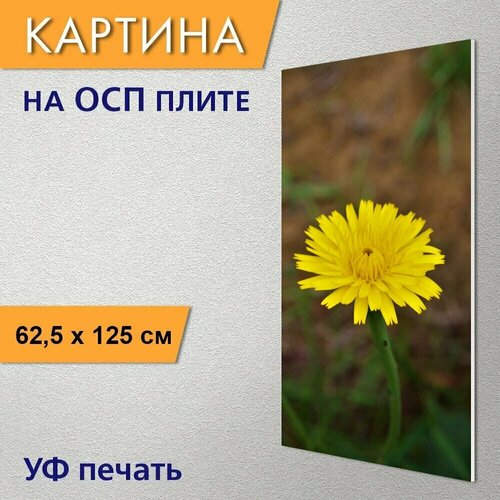 Вертикальная картина на ОСП "Цветок, желтый, цветы" 62x125 см. для интерьериа