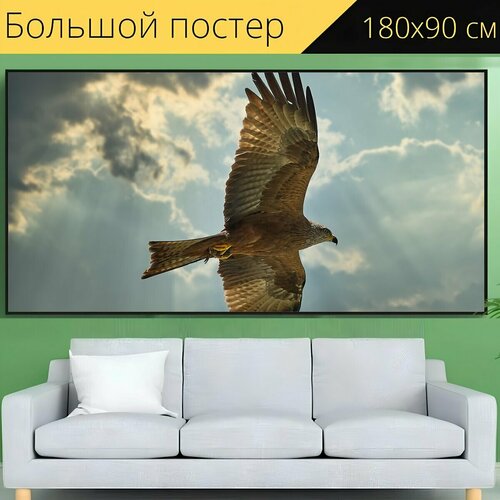 Большой постер "Канюк, хищная птица, хищник" 180 x 90 см. для интерьера