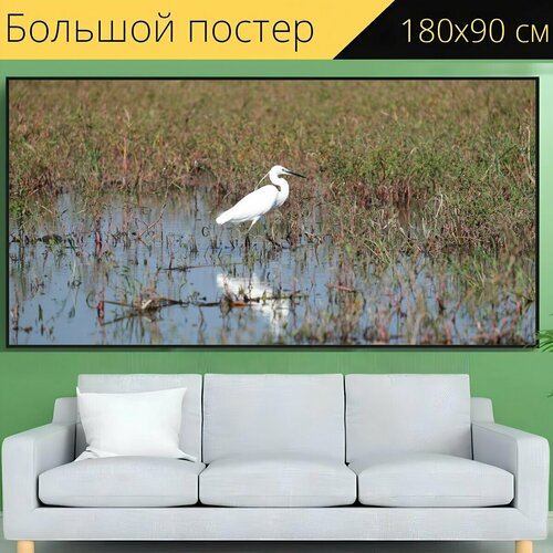 Большой постер "Малая белая цапля, птица, озеро" 180 x 90 см. для интерьера