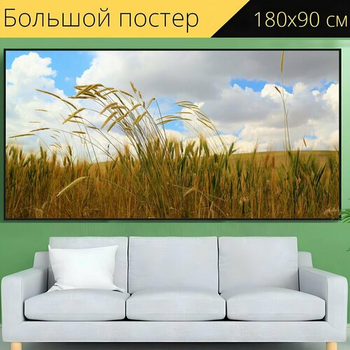 Большой постер "Зерна, природа, травы" 180 x 90 см. для интерьера