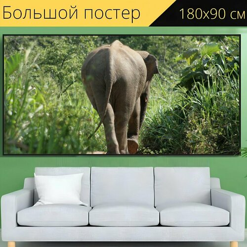 Большой постер "Слон, природа, лес" 180 x 90 см. для интерьера