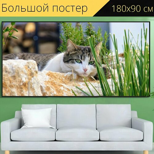 Большой постер "Кошка, сад, кошачьи глаза" 180 x 90 см. для интерьера