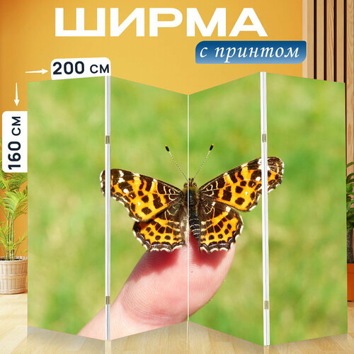 Ширма перегородка с принтом "Природа, бабочки дневные, насекомое" на холсте - 200x160 см. для зонирования, раскладная