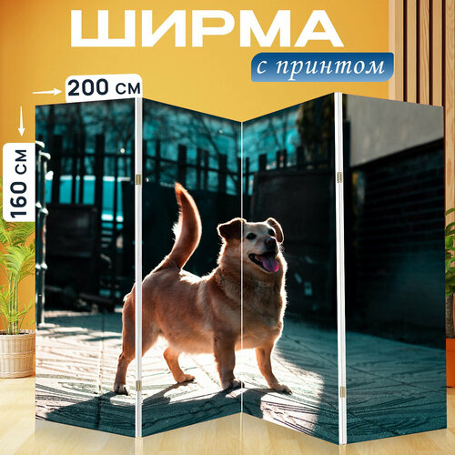 Ширма перегородка с принтом "Собака, животное, домашний питомец" на холсте - 200x160 см. для зонирования, раскладная