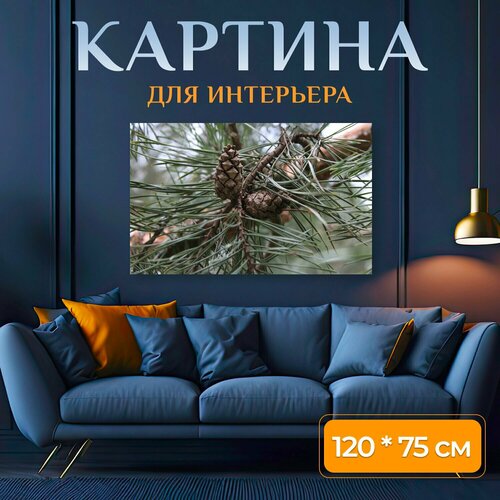 Картина на холсте "Сосна, сосна дерево, лес" на подрамнике 120х75 см. для интерьера