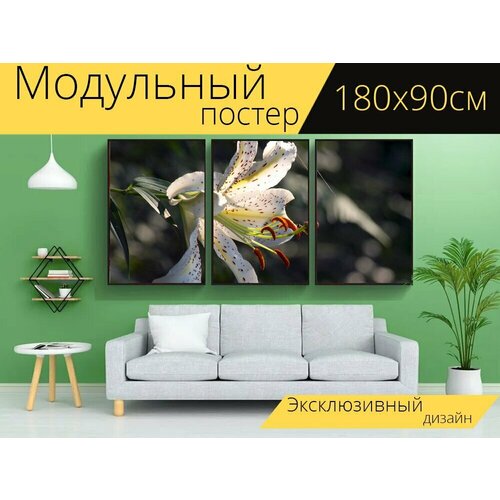 Модульный постер "Природные, завод, цветы" 180 x 90 см. для интерьера