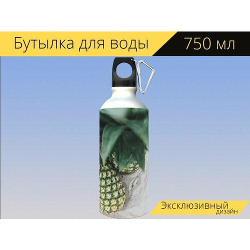 Бутылка фляга для воды "Ананас, фрукты, тропический" 750 мл. с карабином и принтом