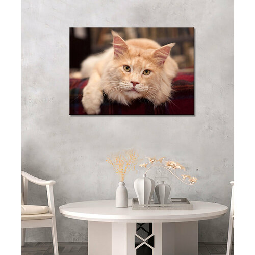 Картина - кошка, мейн-кун, домашняя кошка, ласковая кошка, кот (272) 50х70
