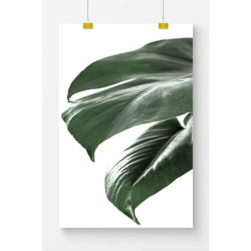 Постер для интерьера Postermarkt, 40х50 см в тубусе, постер Растение #3