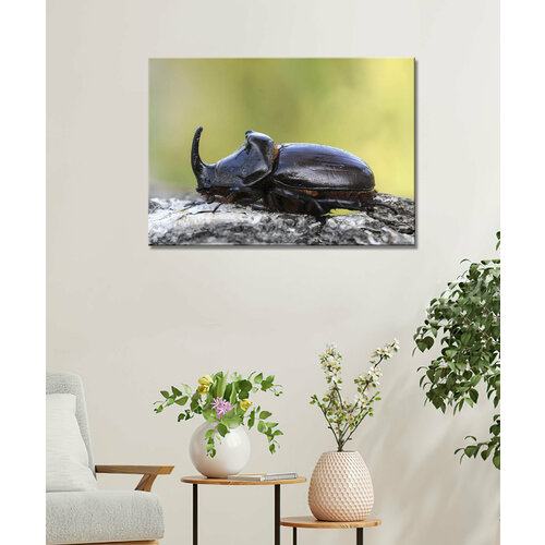 Картина - жук-носорог, жук, массивный жук, крупный жук, природа, макро (8) 30х40