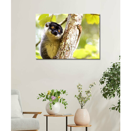 Картина - Лемур, лемурчик, глаза лемура, мадагаскарский лемур, лемур на дереве, бурый лемур (60) 40х60