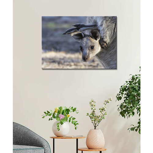 Картина - кенгуру, малыш кенгуру, кенгуру в сумке, серый кенгуру (18) 40х60