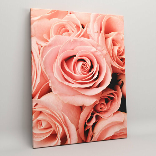 Картина на холсте (интерьерный постер) "Нежные розы", с деревянным подрамником, размер 45x60 см