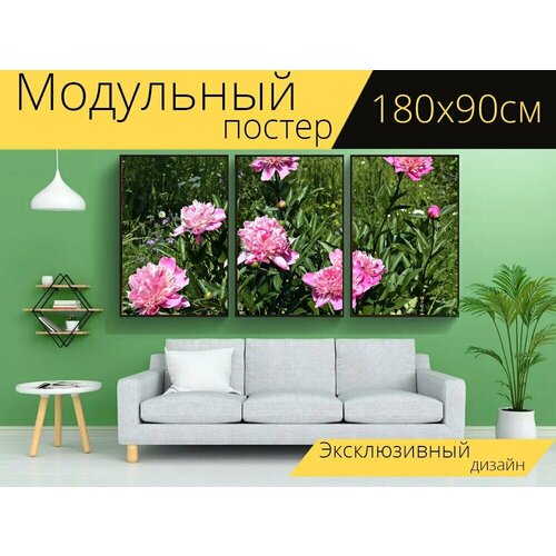 Модульный постер "Пионы, летний, сад" 180 x 90 см. для интерьера