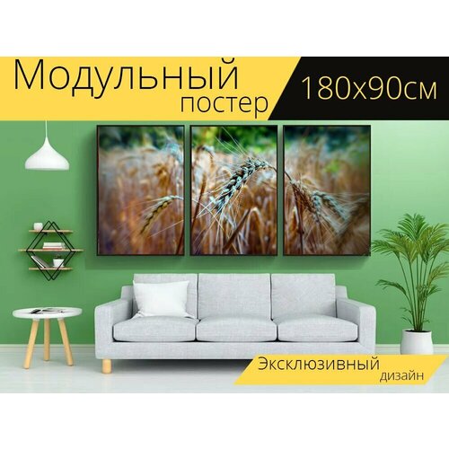 Модульный постер "Природа, пшеница, колосья" 180 x 90 см. для интерьера