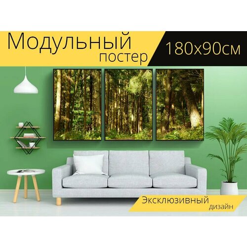 Модульный постер "Лес, лесная тропа, деревья" 180 x 90 см. для интерьера