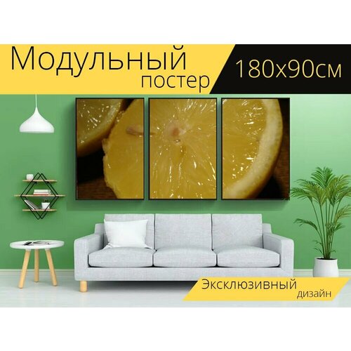 Модульный постер "Лимон, фрукты, готовить" 180 x 90 см. для интерьера