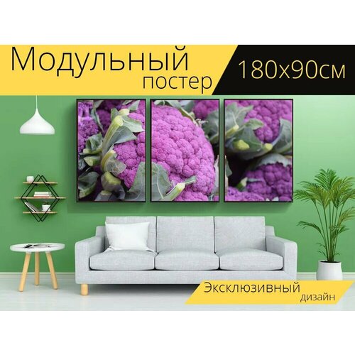 Модульный постер "Овощи, цветная капуста, фиолетовый" 180 x 90 см. для интерьера