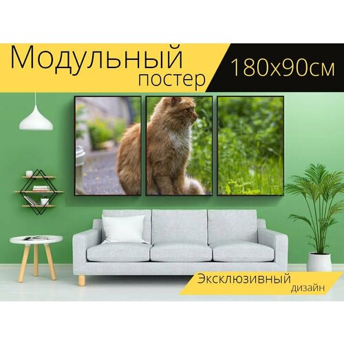 Модульный постер "Сестрорецк, город, прогулка" 180 x 90 см. для интерьера