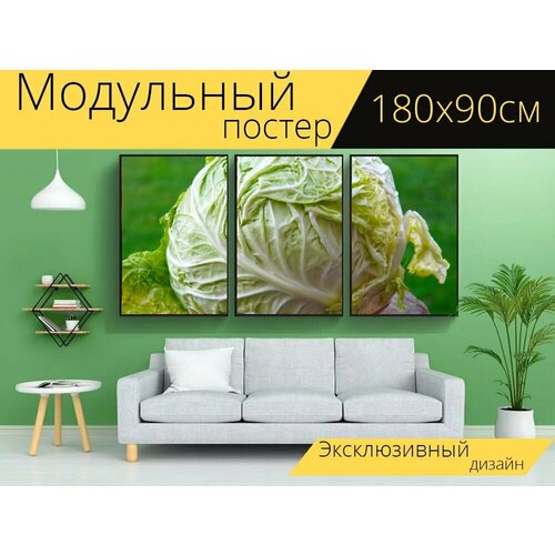 Модульный постер "Капуста, овощи, еда" 180 x 90 см. для интерьера