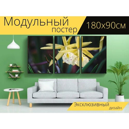Модульный постер "Естественный чисто, свежие, азия" 180 x 90 см. для интерьера