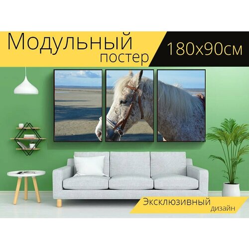 Модульный постер "Лошадь, лошадиной головы, профиль" 180 x 90 см. для интерьера