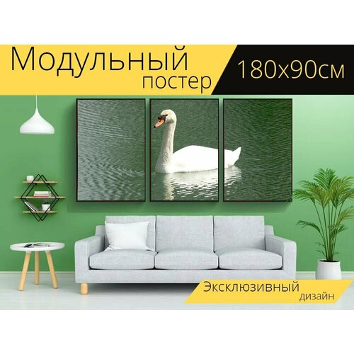 Модульный постер "Лебедь, озеро, лебеди" 180 x 90 см. для интерьера