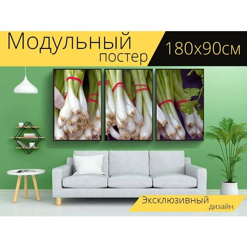 Модульный постер "Свежий зеленый лук пуки, овощи, еда" 180 x 90 см. для интерьера