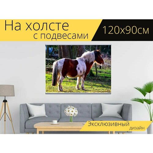 Картина на холсте "Пони, животное, пинто лошадь" с подвесами 120х90 см. для интерьера