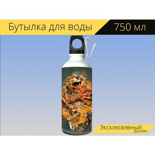 Бутылка фляга для воды "Камень, кварц, жемчужина" 750 мл. с карабином и принтом