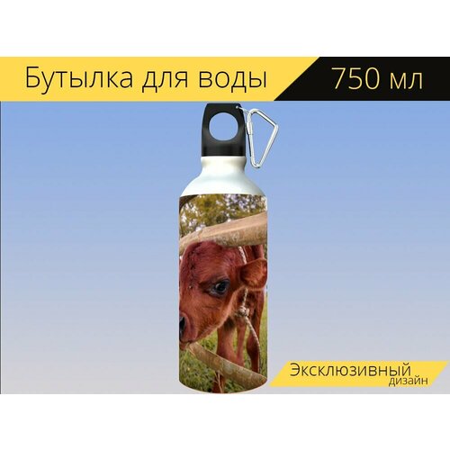 Бутылка фляга для воды "Корова, скот, теленок" 750 мл. с карабином и принтом