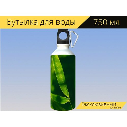 Бутылка фляга для воды "Бамбук, лист, дзен" 750 мл. с карабином и принтом