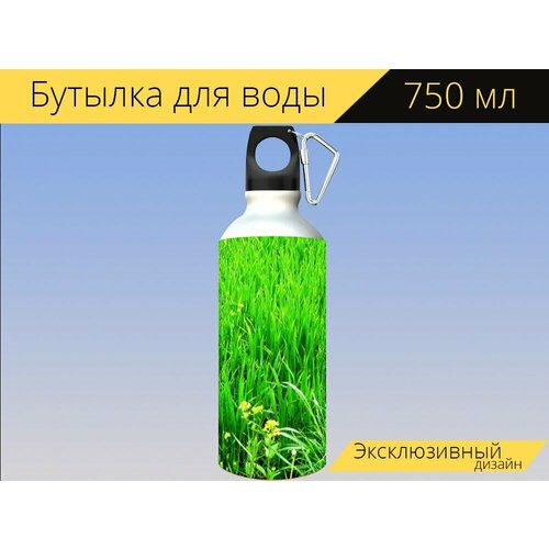 Бутылка фляга для воды "Трава, луг, растения" 750 мл. с карабином и принтом