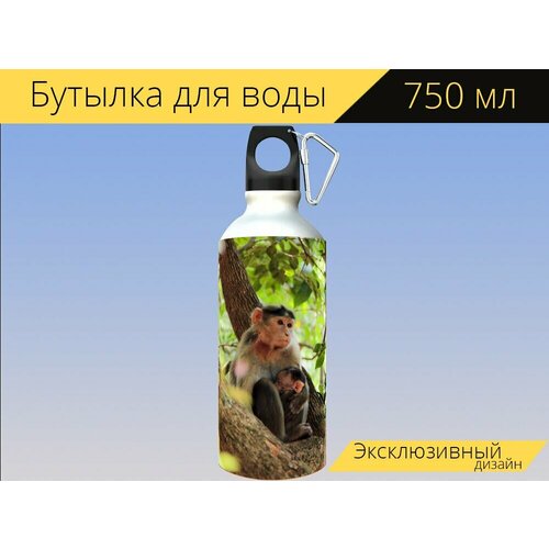 Бутылка фляга для воды "Животное, джунгли, обезьяна" 750 мл. с карабином и принтом