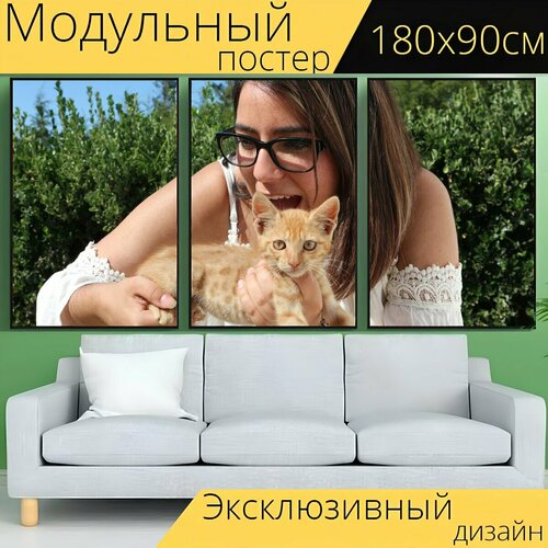Модульный постер "Кошка, милый, котенок" 180 x 90 см. для интерьера