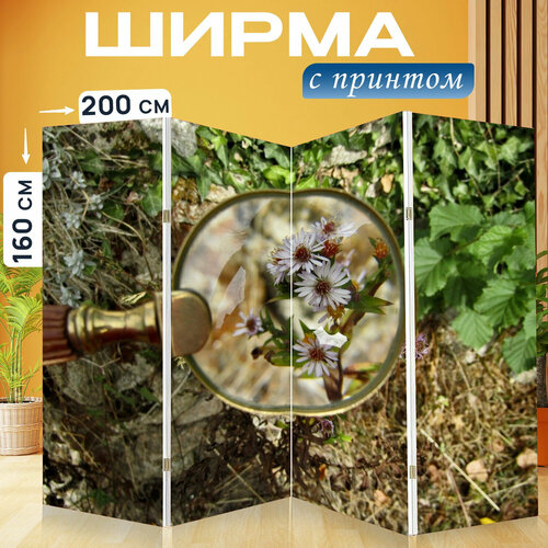 Ширма перегородка с принтом "Увеличительное стекло, цветы, растения" на холсте - 200x160 см. для зонирования, раскладная