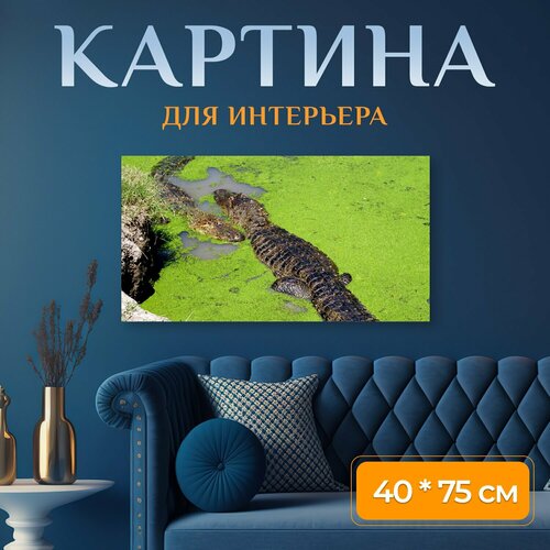 Картина на холсте "Аллигатор, рептилия, крокодил" на подрамнике 75х40 см. для интерьера