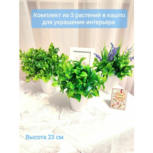Искусственные цветы эвкалипт лаванда и самшит, 3 штуки в комплекте / декор для дома искусственные растения 23 см