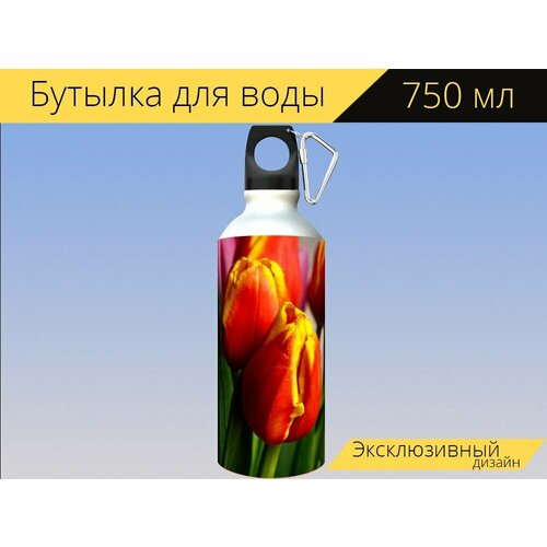 Бутылка фляга для воды "Тюльпаны, цветы, букет" 750 мл. с карабином и принтом