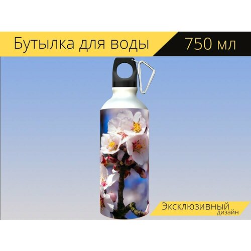 Бутылка фляга для воды "Миндальное дерево, цветы, весна" 750 мл. с карабином и принтом