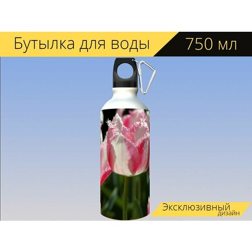 Бутылка фляга для воды "Вьющиеся тюльпаны, тюльпаны, цветы" 750 мл. с карабином и принтом