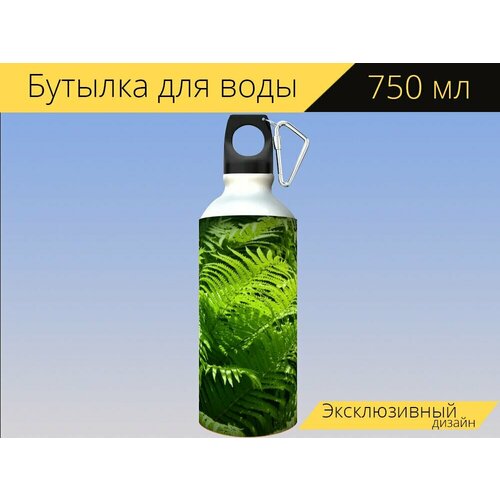 Бутылка фляга для воды "Папоротники, зелень, солнечные лучи" 750 мл. с карабином и принтом