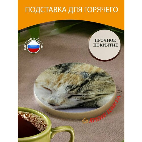 Подставка под горячее "Кошка, кошачий, животное" 10 см. из блого мрамора