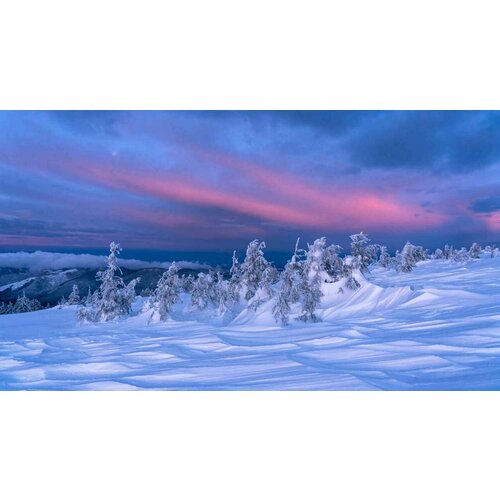 Картина на холсте 60x110 LinxOne "Снег, деревья, сумерки, зима" интерьерная для дома / на стену / на кухню / с подрамником