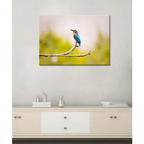 Картина -Зимородок, зимородок обыкновенный (4) 30х40